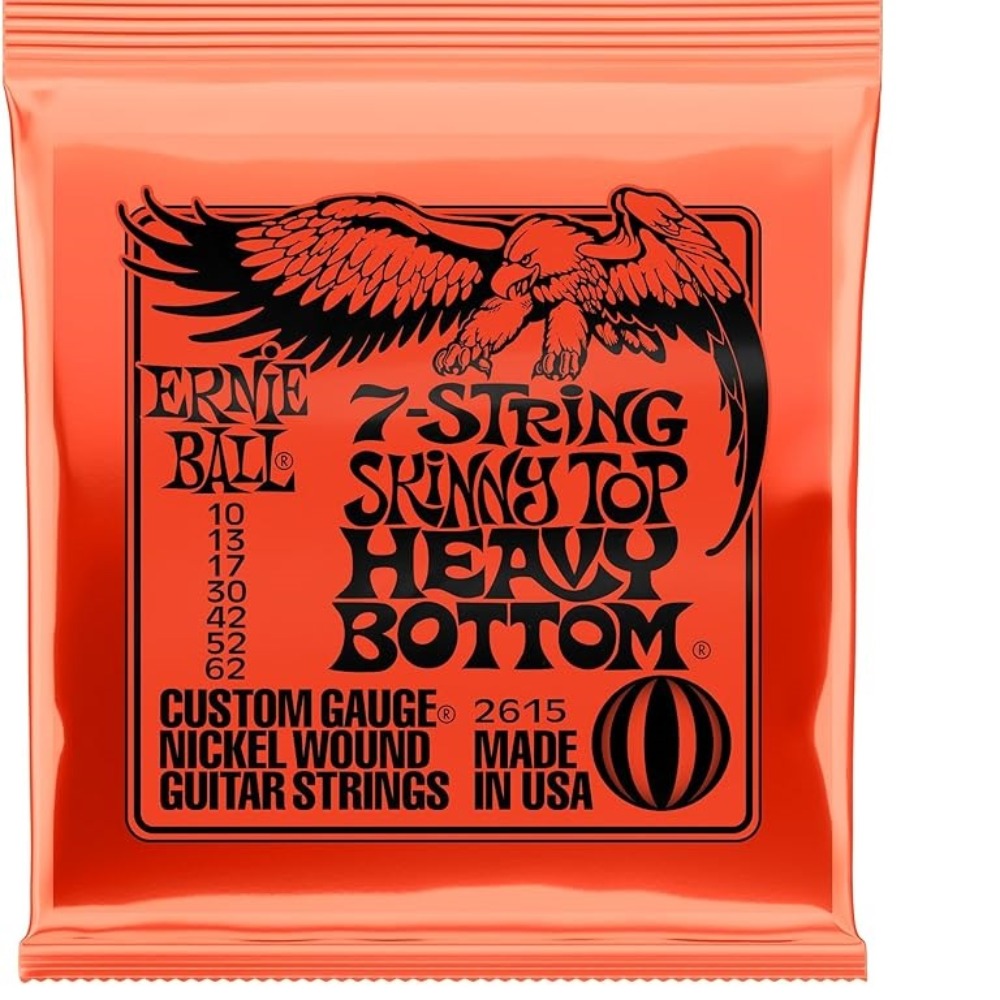 Pre-owned EB Skinny Top Heavy Bottom Slinky 7-String Electric Guitar ...